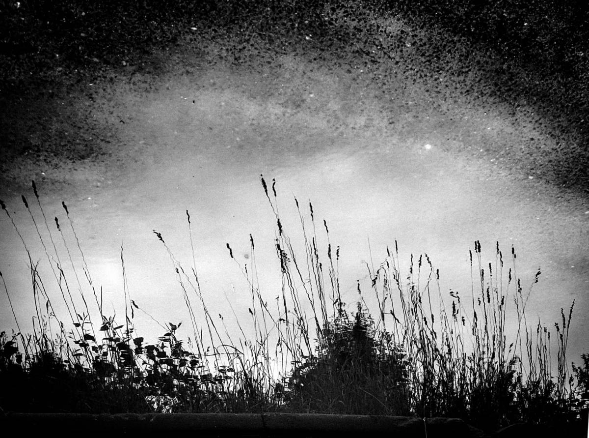 “Zocco Chico” by Kurt McGill – Retreats from Oblivion: The Journal of ...