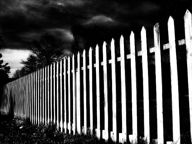 “Mid Dive” by Dane Ince – Retreats from Oblivion: The Journal of NoirCon